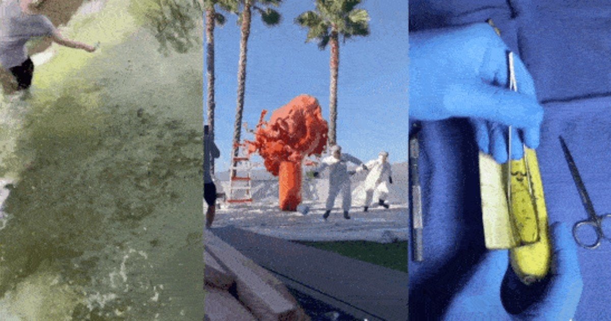 The top viral videos on Tiktok in 2019 | OMR